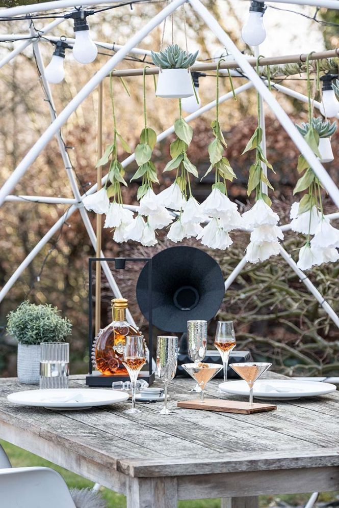 AKI Caviar und Louis XIII – SCHMACKOFATZO