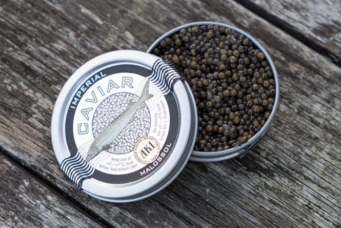 AKI Caviar und Louis XIII – SCHMACKOFATZO