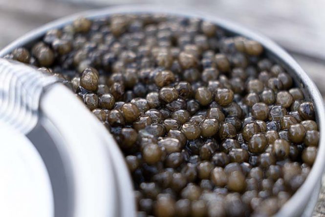 AKI Caviar und Louis XIII – SCHMACKOFATZO