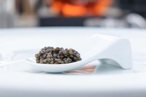 AKI Caviar und Louis XIII – SCHMACKOFATZO